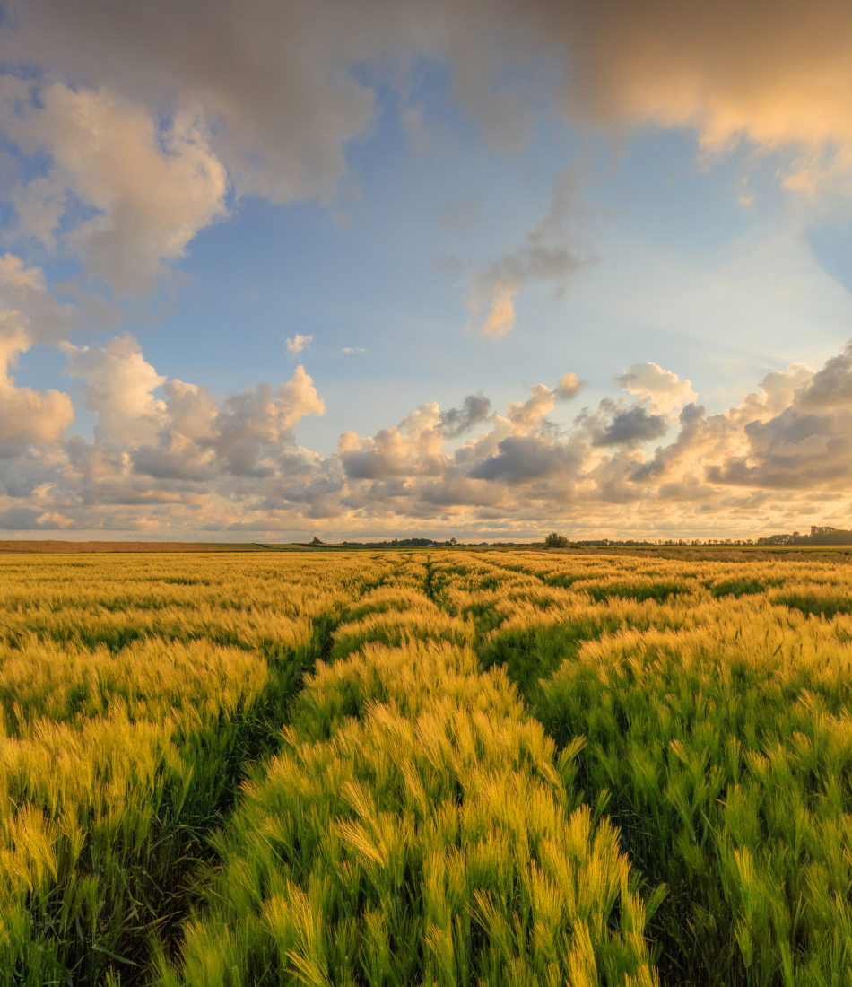 Explore The Horizon | NIO